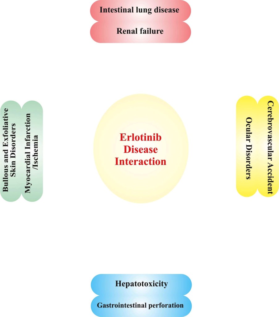 Erlotinib - Drugs Details