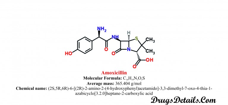 Amoxicillin - Drugs Details