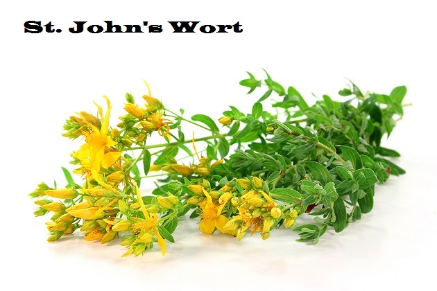 St. John’s Wort - Drugs Details