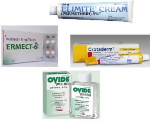 Scabies - Skin rash, Pictures , Causes, Symptoms, Home Remedy ...