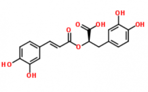 Rosemary: family, products, uses, clinical evidence, dosage, side ...
